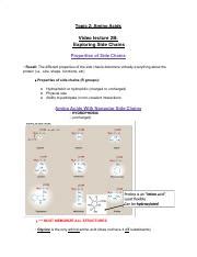Lecture B Exploring Side Chains Pdf Topic Amino Acids Video