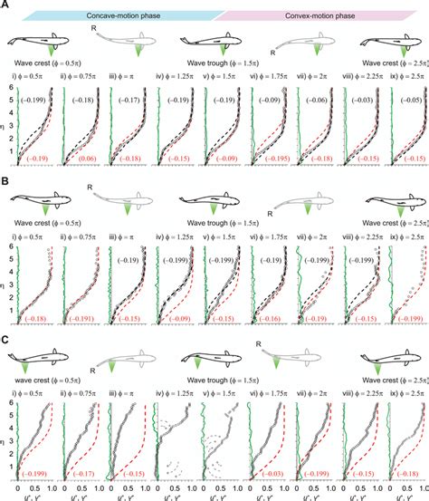 Representatives Of Unsteady Boundary Layer Laminarisation In A The