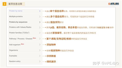 告别复杂软件！用string网站轻松搞定蛋白互作在线制作 知乎
