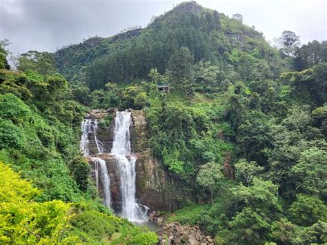 Ds Kumar Tuktuk Sightseeing In Nuwara Eliya 奴娃拉伊利雅 旅游景点点评 Tripadvisor