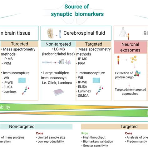 Proteomic Approaches In Synaptic Biomarkers Discovery And Validation Download Scientific