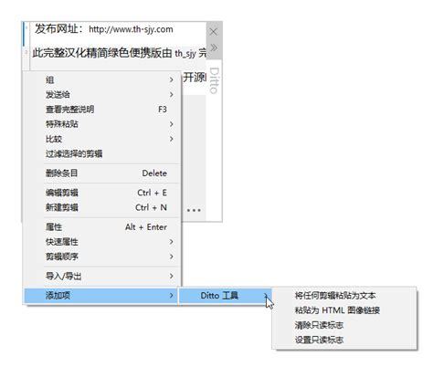 剪贴板增强工具ditto3242460完整汉化精简绿色便携版 Thsjy 专注软件汉化和资源分享，