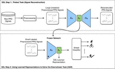 The Overall Proposed Self Supervised Framework Download Scientific
