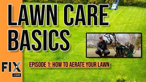 Lawn Care Basics How To Aerate Your Lawn Youtube