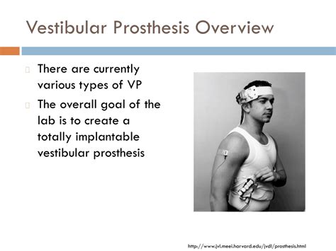 Ppt Alignment Algorithm For The Vestibular Prosthesis Powerpoint