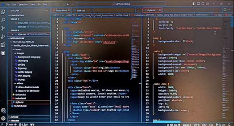 Successfully Completed The First Task Netflix Clone Using Html And Nilipta Palai