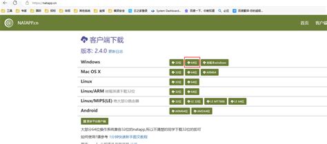 Natapp内网穿透工具（个人网络内网转换成外网可访问） 少年阿川 博客园
