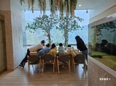 카페파리 스카이라운지데이트 가평 아쿠아리움카페 가평수족관카페 네이버 블로그