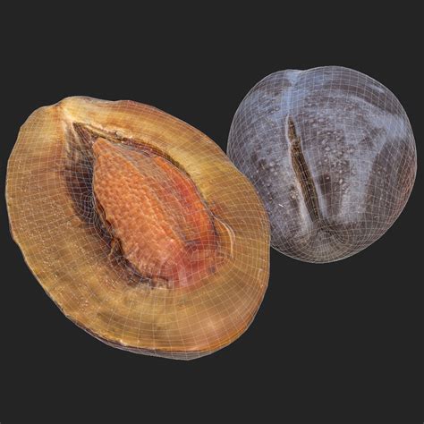 3d A Plum And Half A Pitted Plum Model Turbosquid 1986309