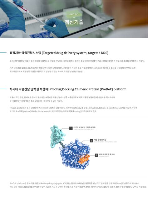 기술소개 Randd 주 케이엠디바이오