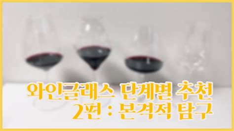 와인잔 추천 와인 중수들을 위한 레드 화이트 탐닉용 와인잔 추천 이정도는 있어야 와인 애호가지 와인잔 추천 시리즈