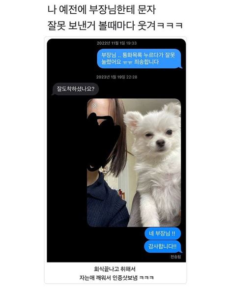 회식 끝나고 취해서 부장님한테 보낸 문자 인스티즈instiz 이슈 카테고리