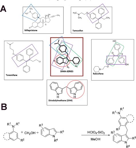 Figure 1 From Designed Modulation Of Sex Steroid Signaling Inhibits Telomerase Activity And