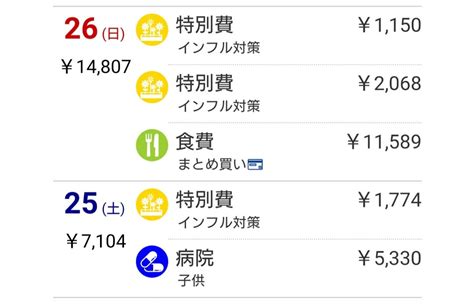 11月28日までの家計簿とインフルエンザ襲来！ オタクに住宅ローン3400万円返済は難易度s級だった