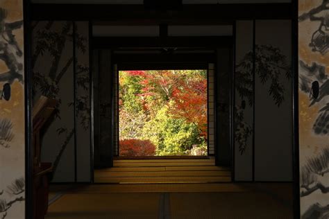近江孤篷庵襖越しの秋 by masahiko h ID9171199 写真共有サイト PHOTOHITO