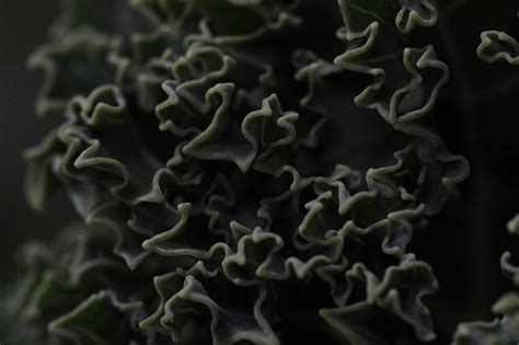 Macro 32 By Derek3636 On Deviantart