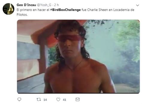Netflix Pidió A Los Usuarios Que Dejen De Hacer El Birdboxchallenge