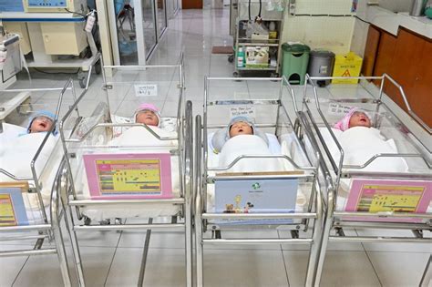 Israel Researcher Wins Grant For Work On Sex Development I NEWS