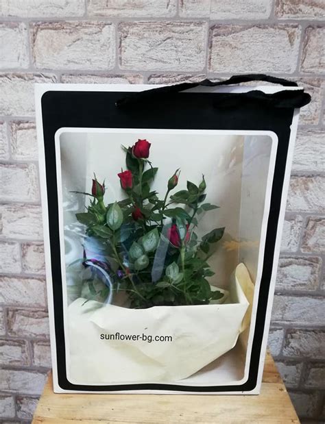 Роза в прозрачна чантичка Магазинът за Цветя Sunflower