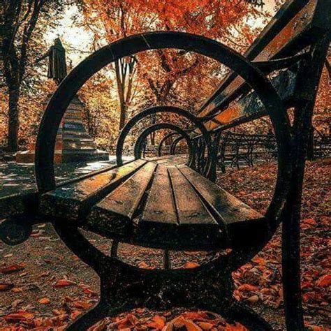 Central Park Framing Photography Creative Photography Perspective