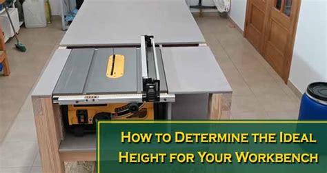 How To Determine The Ideal Height For Your Workbench Amadaun