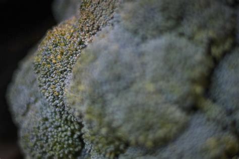 ¿cómo El Brócoli Puede Ayudar A Los Diabéticos