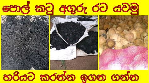 පොල් කටු අගුරු Pol Katu Aguru Coconut Shell Charcoal Burning Pol