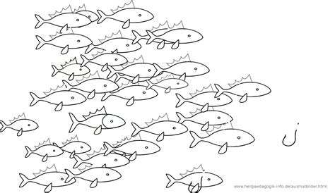 Ausmalbilder Fische