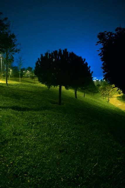 Tree Grass Blue Free Photo On Pixabay Pixabay Tree Grass Blue Free Photo On Pixabay Pixabay