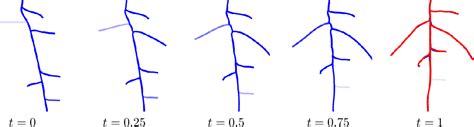 Figure 7 From A New Variational Model For The Analysis Of Shape Graphs