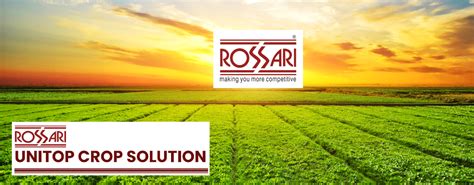 Unitop Chemicals Pvt Ltd Rossari Biotech Limited