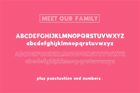 Indigo Font Duo Font By Salt And Pepper Fonts · Creative Fabrica
