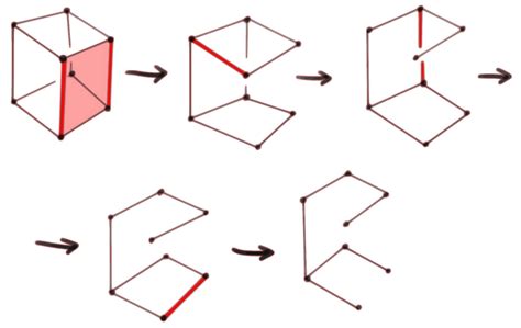 Reducing C To A Tree Via A Sequence Of Panel Collapses In This Download Scientific Diagram