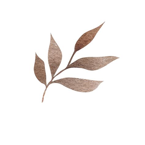 Watercolor Boho Style Autumn Leaves 11571935 Png