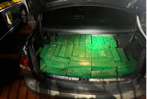 Prf Apreende 137 Kg De Maconha Na Pr 444 Mandaguari Online