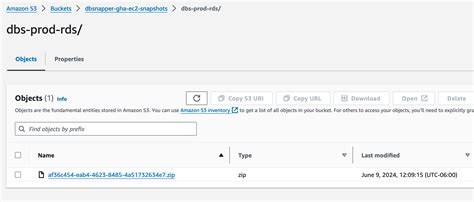 Part Using DBSnapper GitHub Actions And ECS A Simplified Approach DBSnapper Documentation