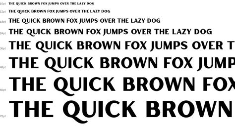 Hertical Sans Font By Edignwn Type Fontriver