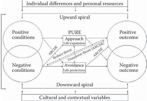 2 Interactions And Meaning Based Regulations Within The Dual Systems Model Download