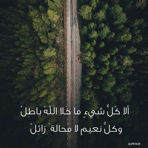 لبيدبنربيعة