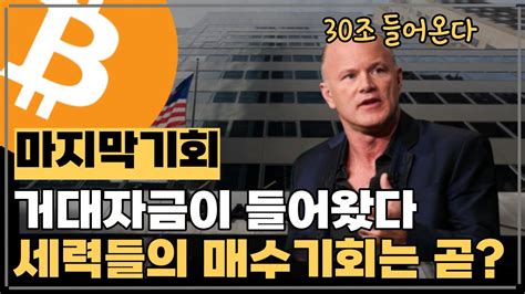 반감기etf승인전 마지막기회가 오고있다 역사는 반복된다비트코인 불장전 패턴 Youtube