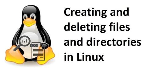 Jansi Gorle On Linkedin Mastering Linux 5 Essential Commands Touch