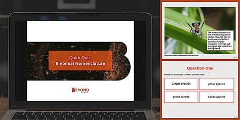 Binomial Nomenclature Quick Quiz Teacher Made Twinkl