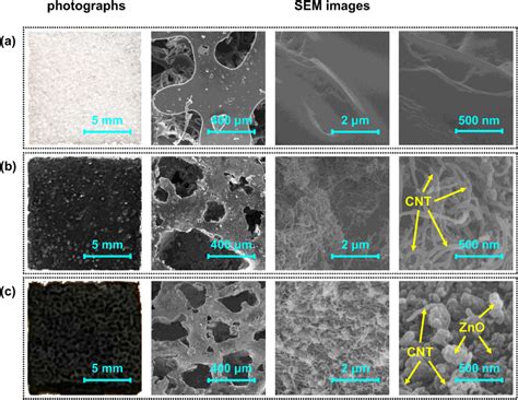 Photographs And SEM Images Of Prepared Materials A PDMS B CNTs PDMS Download Scientific