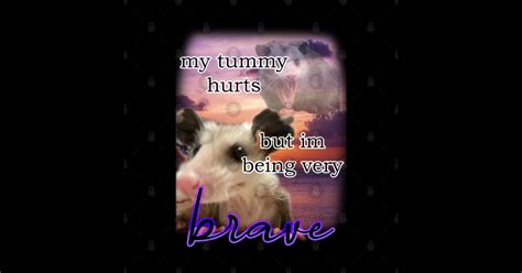 I Have A Tummy Ache But Im Being Very Brave Possum Be Gentle I Have A