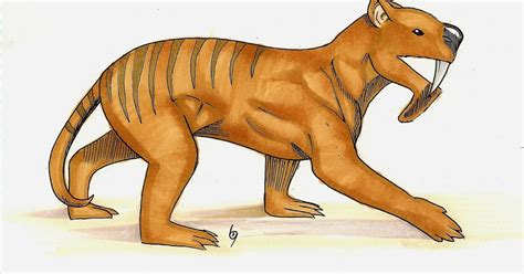 The Natural World Smilodon Vs Thylacosmilus The Saber Toothed Marsupial