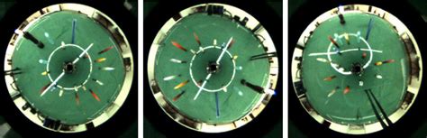 The Nubot Soccer Robot Equipped With An Omnidirectional Vision System