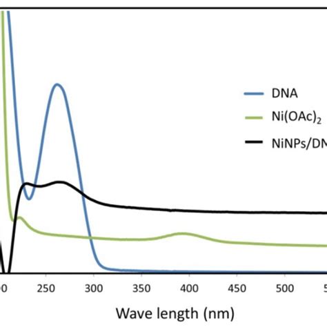 Uvvis Spectra Of Dna Nioac2 And Ninpsdna In Water Download
