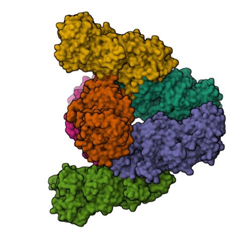 Rcsb Pdb 8kbw The Crystal Structure Of Syn Copalyl Diphosphate Synthase From Oryza Sativa