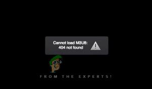 Fix Cannot Load Video Error M U