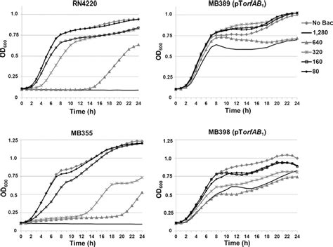 Growth Curves Of Staphylococcal Strains Rn4220 And Mb355 And Their